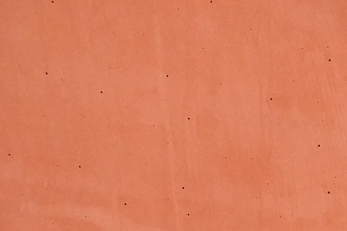 Translucent Concrete Texture