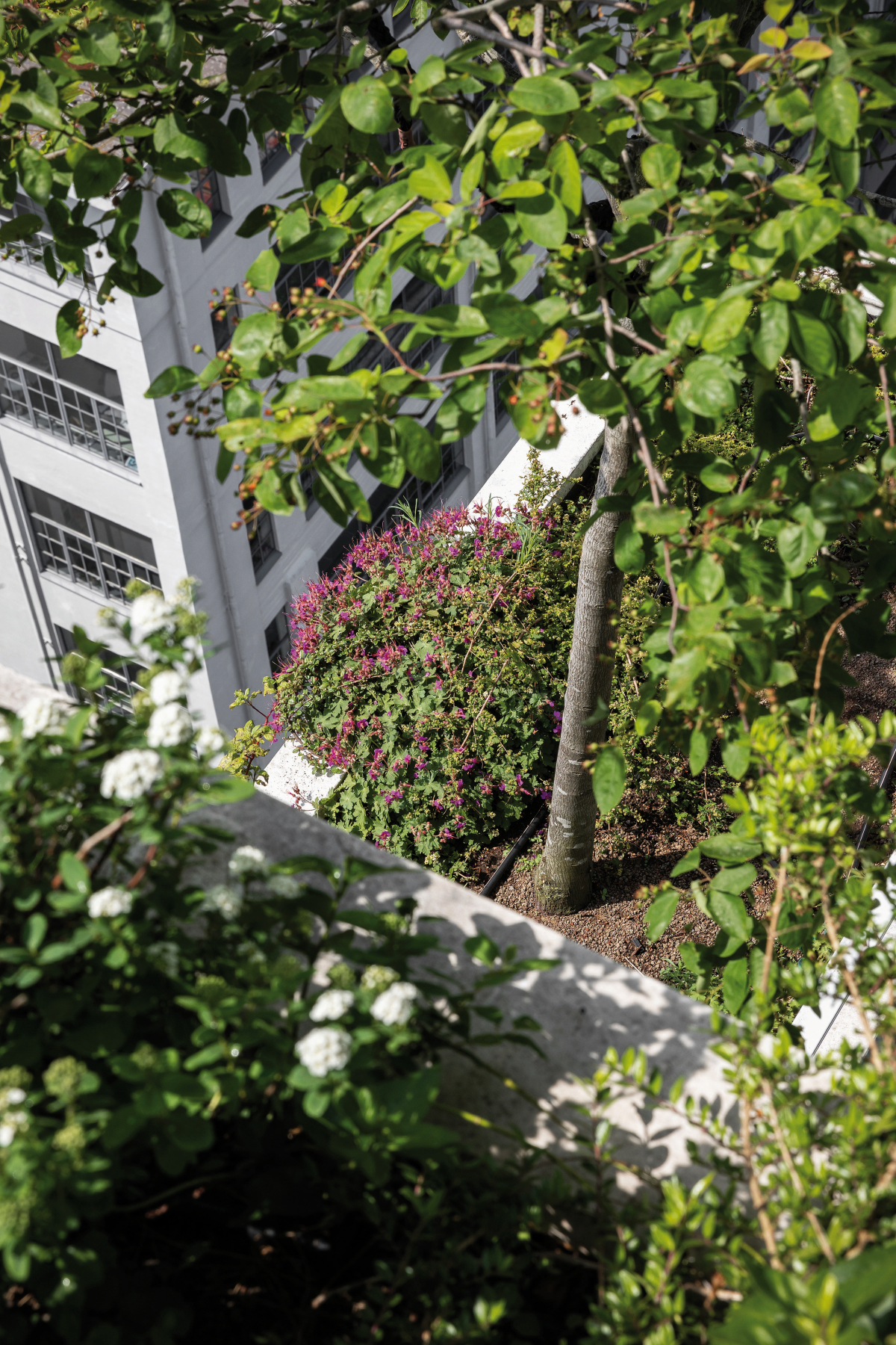 Overhanging balcony planters made of precast elements: The Trudo ...